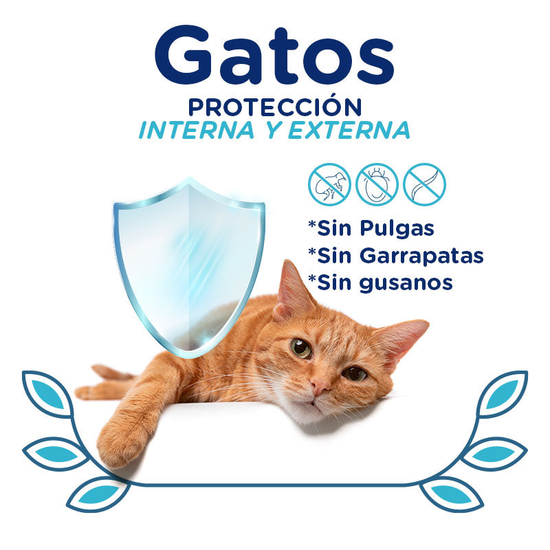 U,SHIELD Gatos | Tienda