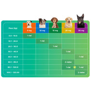 Librela® | Tratamiento de Osteoartrosis u Osteoartritis | Zoetis | Tienda