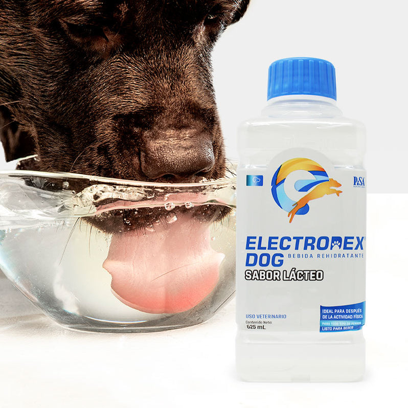 Electrodex® Dog | Pisa | Electrolitos de Sabores | Tienda