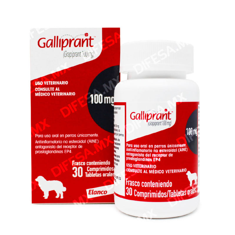Galliprant® | Antiinflamatorio no esteroidal (AINE) | Elanco | Tienda