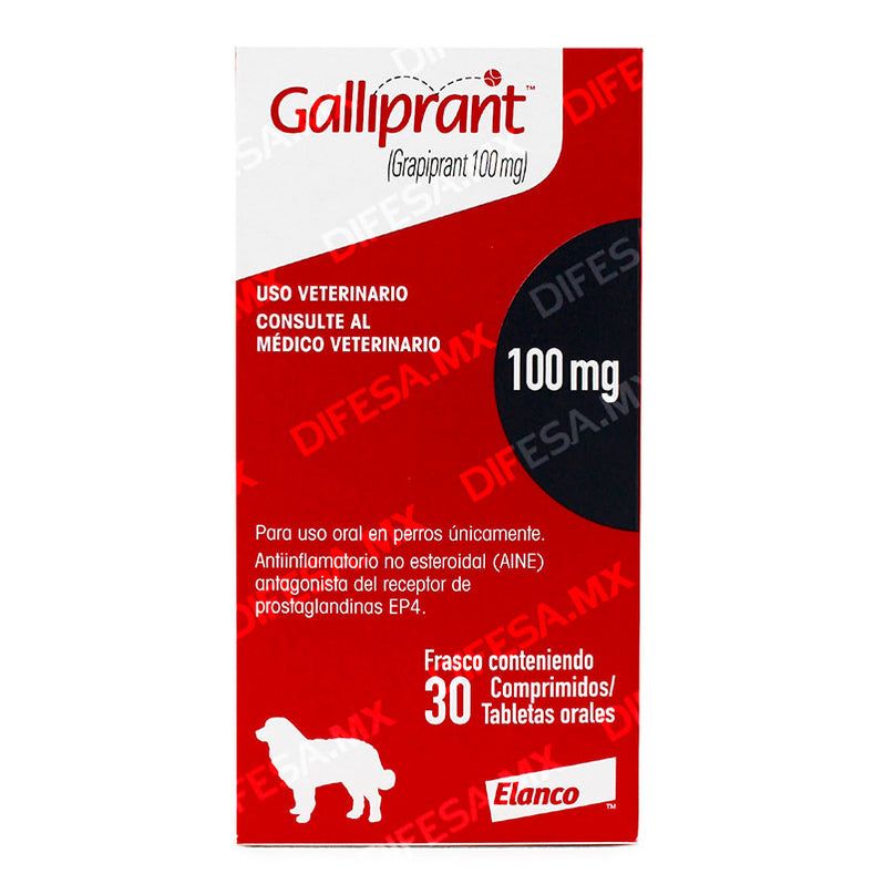 Galliprant® | Antiinflamatorio no esteroidal (AINE) | Elanco | Tienda