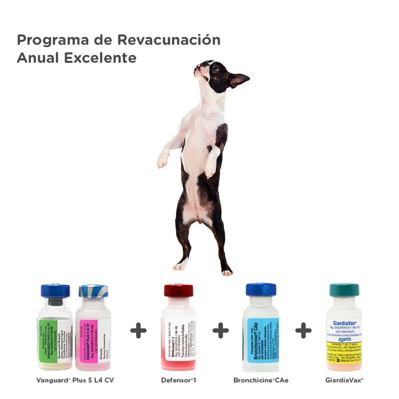 Defensor®1 | Vacuna contra Rabia | Zoetis | Tienda