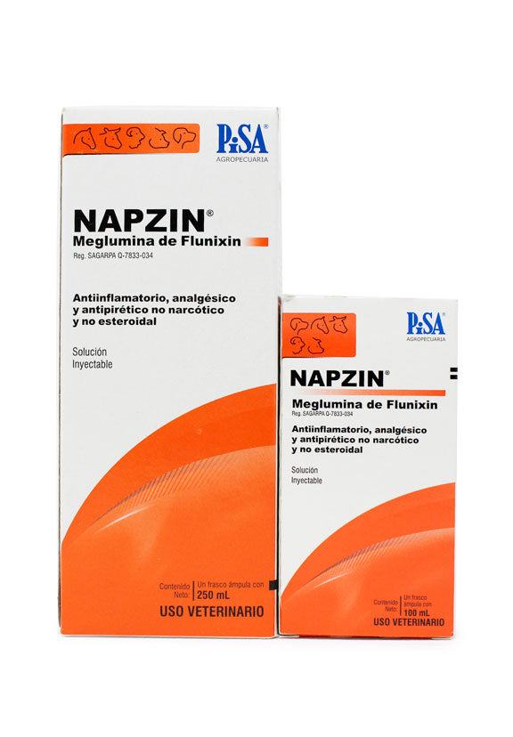 Napzin Antiinflamatorio Analgésico Y Antipiretico Pisa Tienda