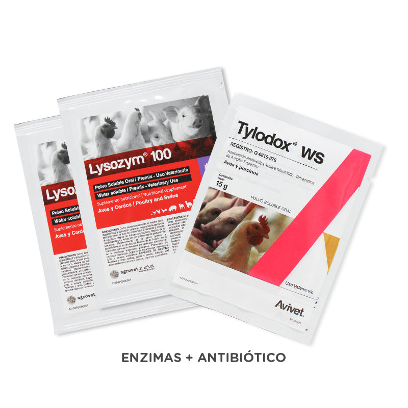 Lysozym®100 + Tylodox® WS | Combo contra influenza/gripa aviar | Tienda