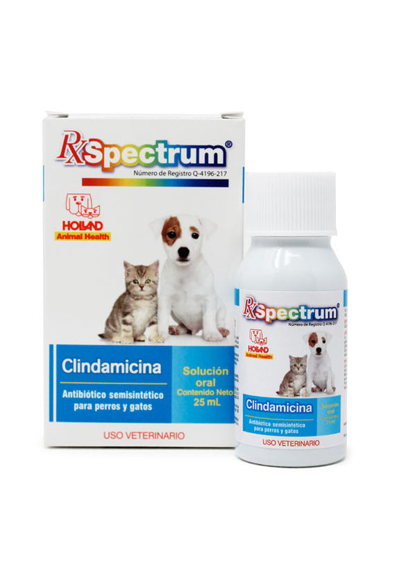 RX Spectrum® Clindamicina | Solución Oral | Holland | Tienda